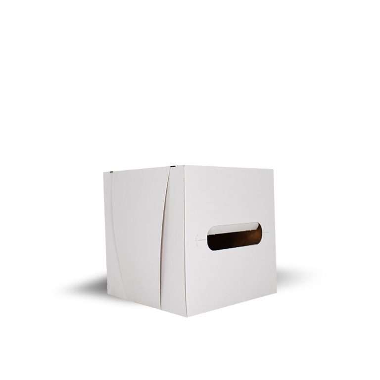 Custom 4-Pack 12oz Cans Carton | Independent Printing & Packaging